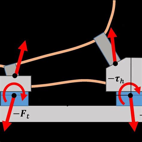 Static Equilibrium Of Fixtures Download Scientific Diagram