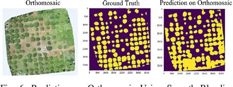Figure 1 From Uav Sensing Based Semantic Image Segmentation Of Litchi Tree Crown Using Deep