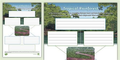 Tropical Rainforest Mind Map Teacher Made Twinkl