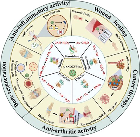 Recent Advancements In The Formulation Of Nanomaterials Based Nanozymes Their Catalytic