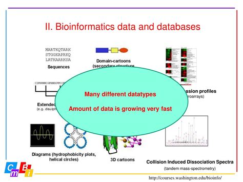 PPT Bioinformatics Databases Sequence Retrieval PowerPoint Presentation ID 622866