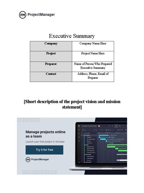 Projectmanager Executive Summary Template Nd23 Pdf