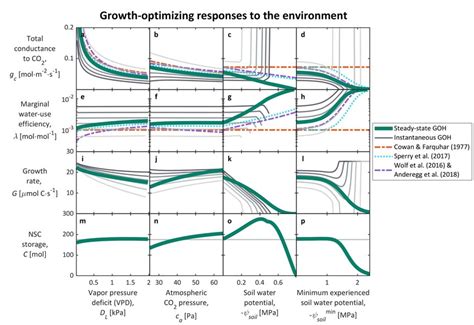 Instantaneous And Steady State Responses According To The Growth Download Scientific Diagram