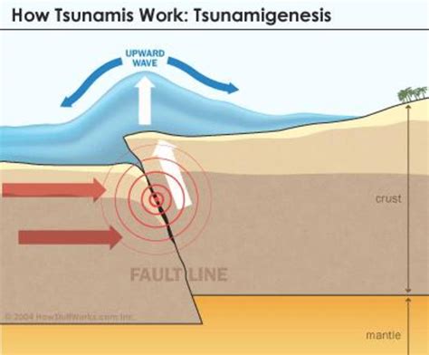What Causes A Tsunami Owlcation