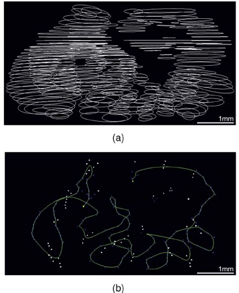 Shows The Path Connection Rules Used To Determine The Cross Sectional Download Scientific