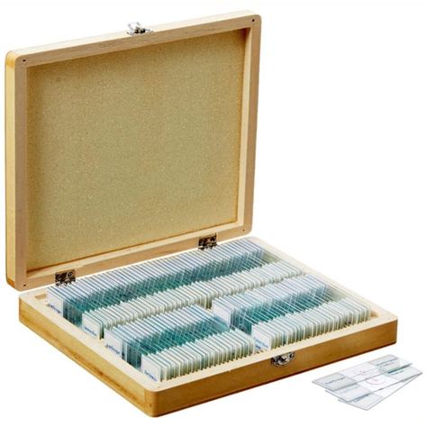 Amscope Ps100e 100 Homeschool Biology Prepared Microscope Slides Set