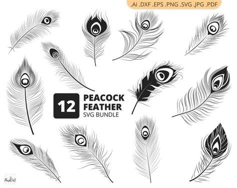 Peacock Feather Svg Peacock Feather Bundle Svg Peacock Feather