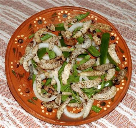 Gusanos De Maguey Traditional Mexican Delicacy