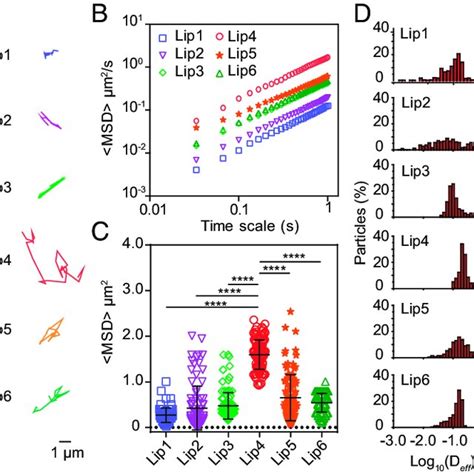 Huajian Gao Walter H Annenberg Professor Of Engineering Phd Brown University Rhode