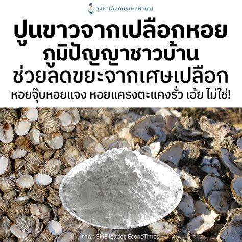 ปูนเปลือกหอย ลุงซาเล้งกับขยะที่หายไป