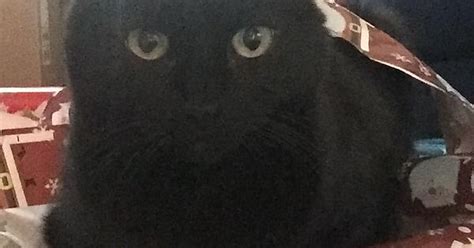 My Christmas Helper Album On Imgur