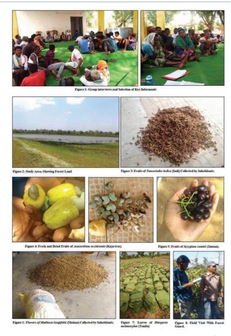 Data Collection And Interviews Download Scientific Diagram