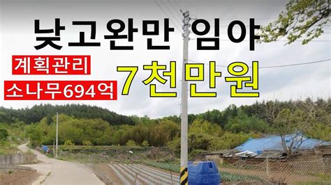 7천만원 계획관리50 낮고완만 임야전 공시가1억4천 시세3~7억 자연인 전원생활 숲6차산업 숲경영 약용재배 방목 산분장 땅과함께새희망을경매임야 공매임야 나도땅주인
