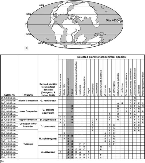 A Geographical Position And B Stratigraphical Distribution And