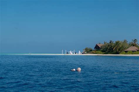 경치 좋은 해변 고요한 환경 깨끗한 자연 낮 해변 따뜻한 기후 레저 맑은 하늘 모래사장 목가적인 몰디브 몰디브 관광 무인 해변 바다 경치 바람이