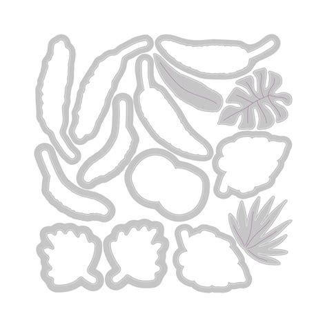 Sizzix Thinlits Die Set 14pk Stay Wild 2 By Catherine Pooler