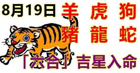 8月19日生肖運勢 羊虎狗大吉 PEEKME