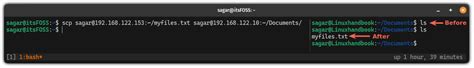 Scp Command Examples In Linux