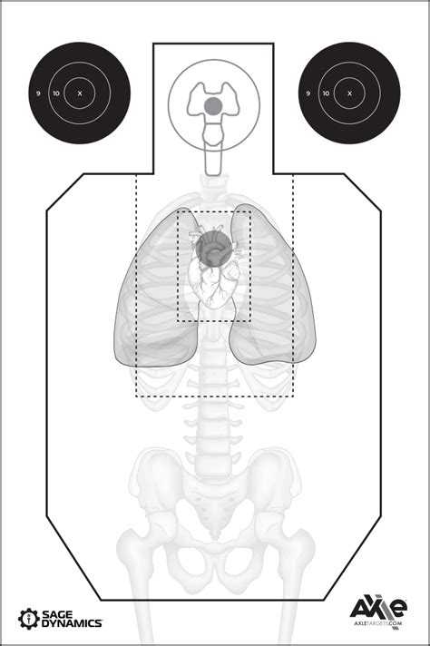 Sage Dynamics Target Tactical Anatomy Training By Aaron Cowan