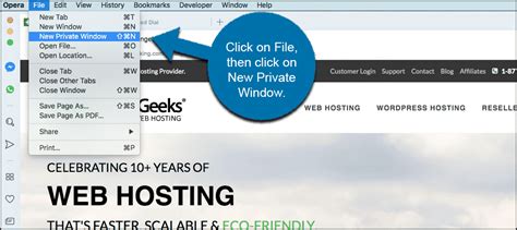 how to turn on the incognito mode function in opera greengeeks