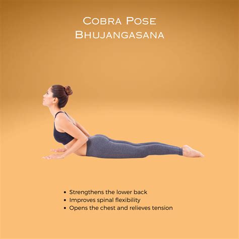 Cobra Pose ~ Bhujangasana Indian River Bikram Yoga