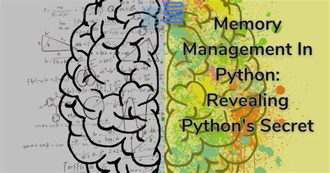 Memory Management In Python Revealing Pythons Secret Python Hub