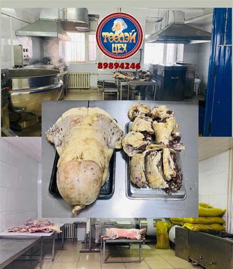 Хонины ууц үхрийн өвчүүг Ууц өвчүү чанаж утах үйлчилгээ