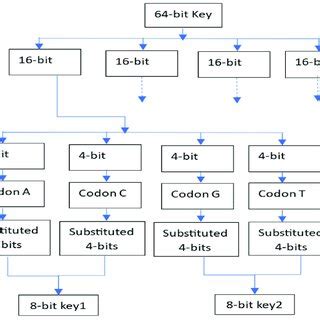 Key Generation Process Download Scientific Diagram