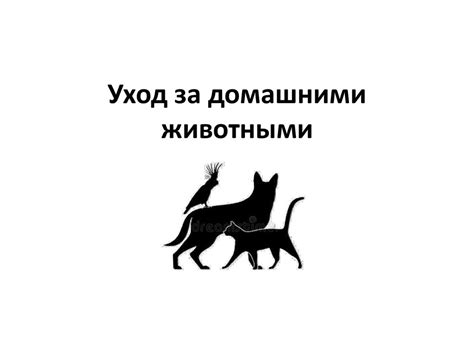 Уход за домашними животными Online Presentation