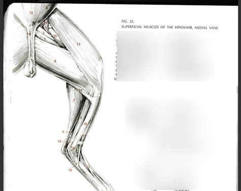 Quiz 6 Fig 25 Diagram Quizlet