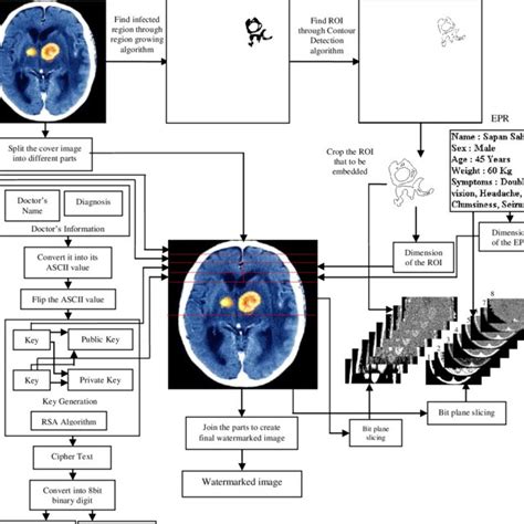Flowchart Of Proposed Combined Crypto Watermarking Embedding Process Download Scientific Diagram