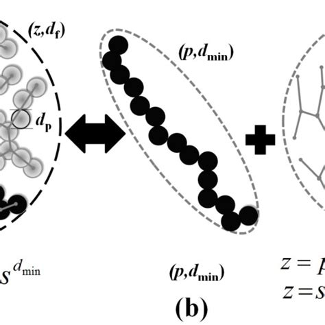 Schematic Representation Of An Aggregate Structure In 2d A The Download Scientific Diagram