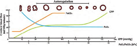 Figure 11 From Design Of A Near Infrared Spectroscopy Microcontroller