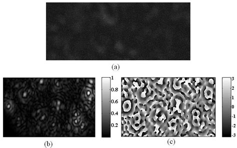 22 A Random Speckle Pattern Recorded By The Ccd Camera B And C Download Scientific Diagram