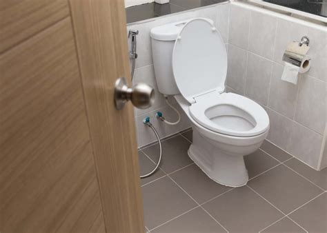 Best Flushing Toilet In 2022 [7 Reviews And Buying Guide]
