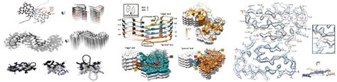 Two Molecular Models Of Aβ42 Fibrils Architecture And Atomic Model Of
