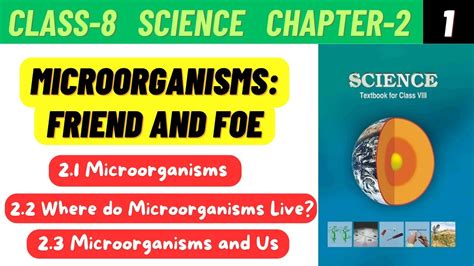 Class 8 Science Chapter 2 Microorganisms Friend And Foe Line By Line
