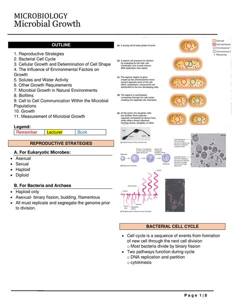 Bio425 Module 6 Microbial Growth Notes Microbiology Microbial Growth