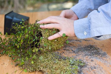 DIY String Garden Ideas For Wedding HomeMydesign