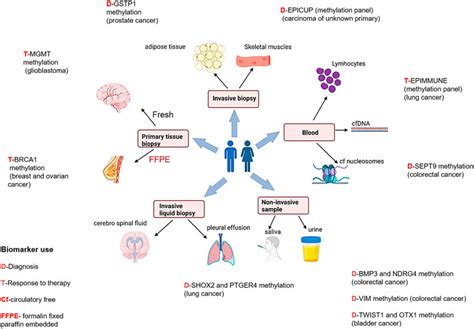 Epigenetics And Cancer Epigenetic Signatures In Cancer Proper