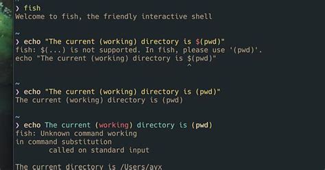 Fish Isnt Fully Compatible With Bash Syntax But Zsh Is Imgur