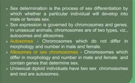 What Is Sex Determination