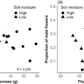 The Relationship Between A Final Plant Biomass And B Final Plant Download Scientific