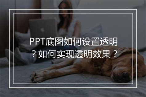 如何同时看两个ppt？如何高效切换不遗漏内容？ 8104办公软件