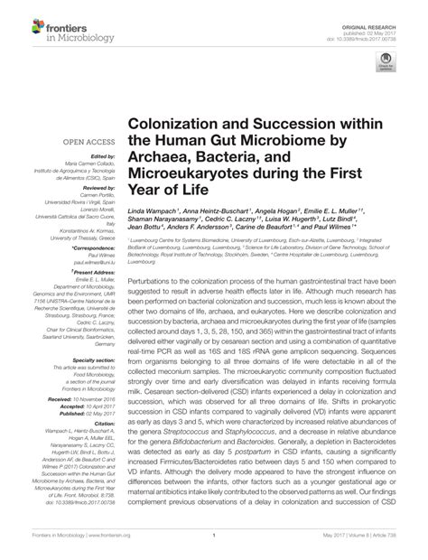 Pdf Colonization And Succession Within The Human Gut Microbiome By Archaea Bacteria And