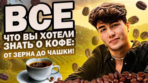 ВСЕ ЧТО ВЫ Хотели Знать О КОФЕ от зерна до чашки Смотреть онлайн в поиске Яндекса по Видео