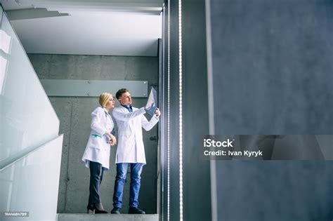 여성 의사와 외과의는 엑스레이 필름을 검사하고 환자의 허리 부상을 진단합니다 수술 및 의료 배너 디자인 의사에 대한 스톡 사진 및 기타 이미지 Istock