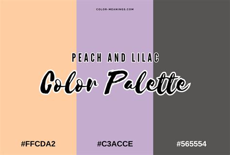 The Color Lilac Definition Hex Code History Meaning And Design Uses Color Meanings