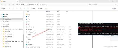 Error Loading Saved Preferences ~vuerc May Be Corrupted Or Have Syntax Errors Please Fix