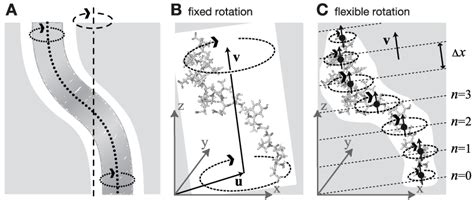 Enforced Rotation — Gromacs 2022 Documentation